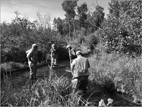 Trout Unlimited gets $156,000 grant - upnorthvoice.com