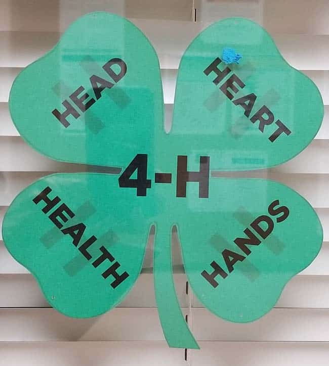 Wurm lives and breathes 4-H - upnorthvoice.com